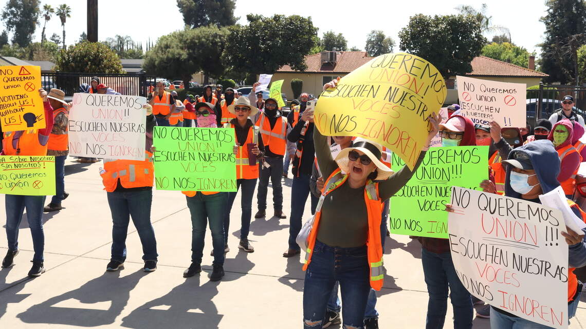 UFW video alleges anti-union protest payments in Visalia | Fresno Bee
