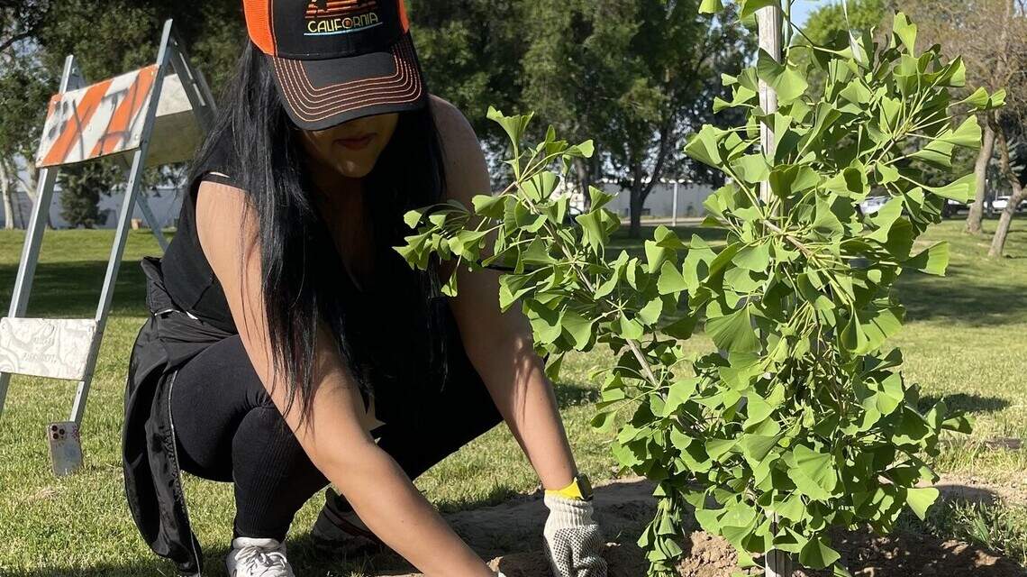 Trees in SLO CA: How and when to get free plants for home | San Luis ...